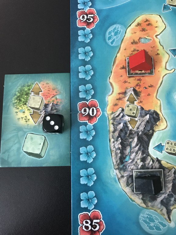 Bora Bora Board Game How to Play & Review - Jesta ThaRogue